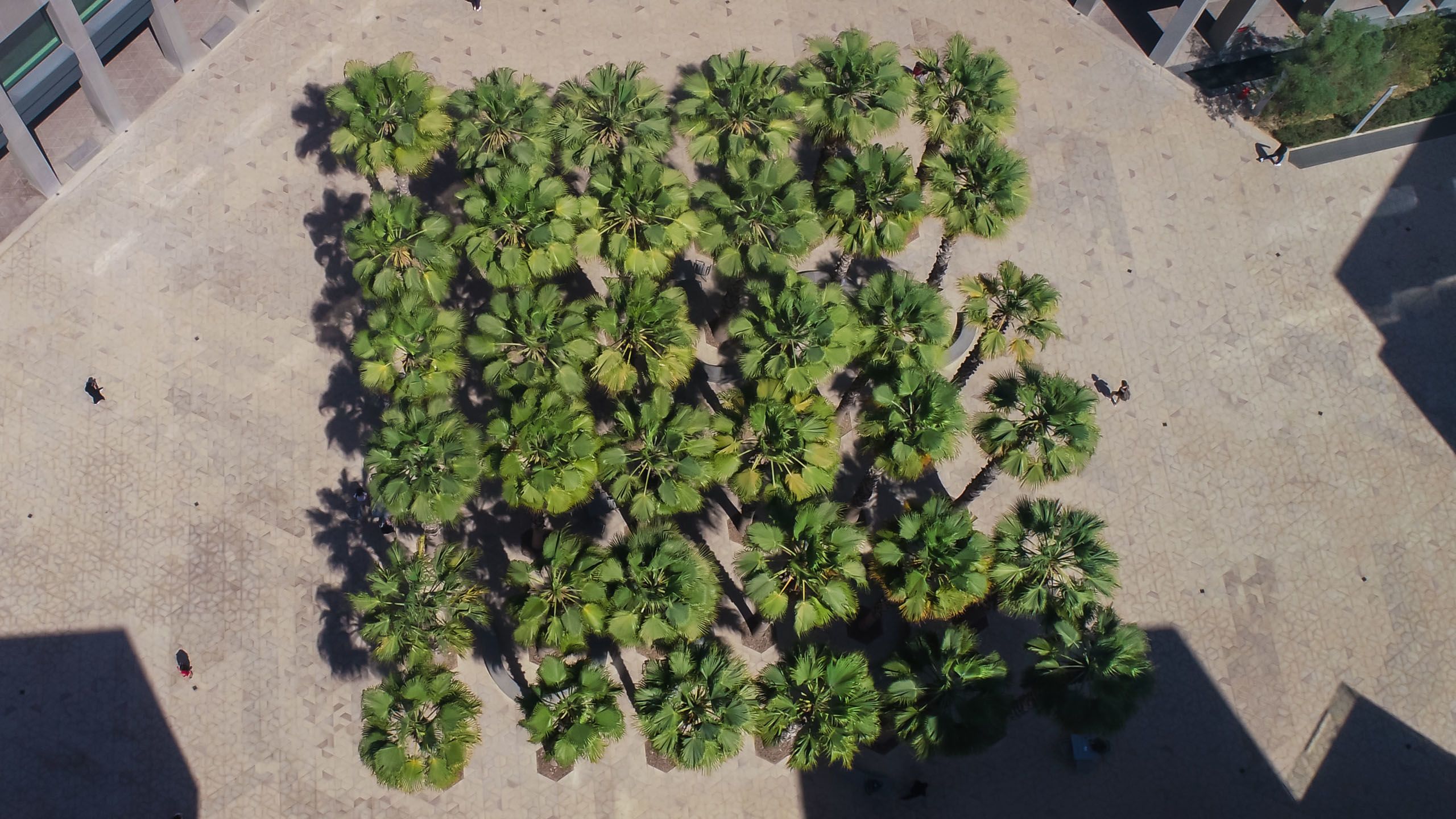 Life Beyond Saadiyat Class of 2024 - NYU Abu Dhabi