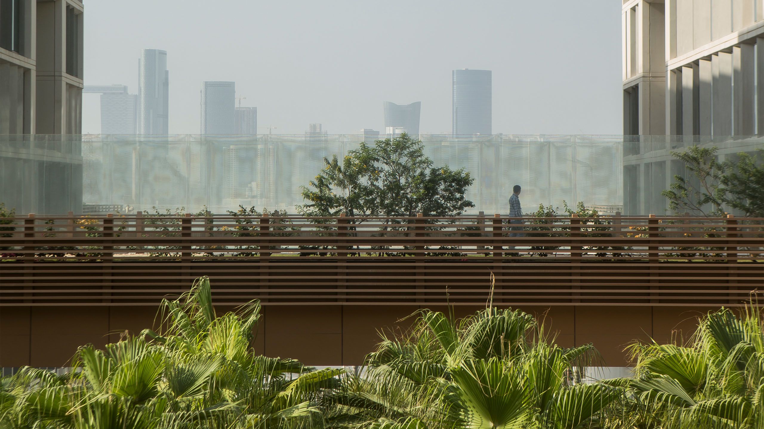 Life Beyond Saadiyat Class of 2024 - NYU Abu Dhabi