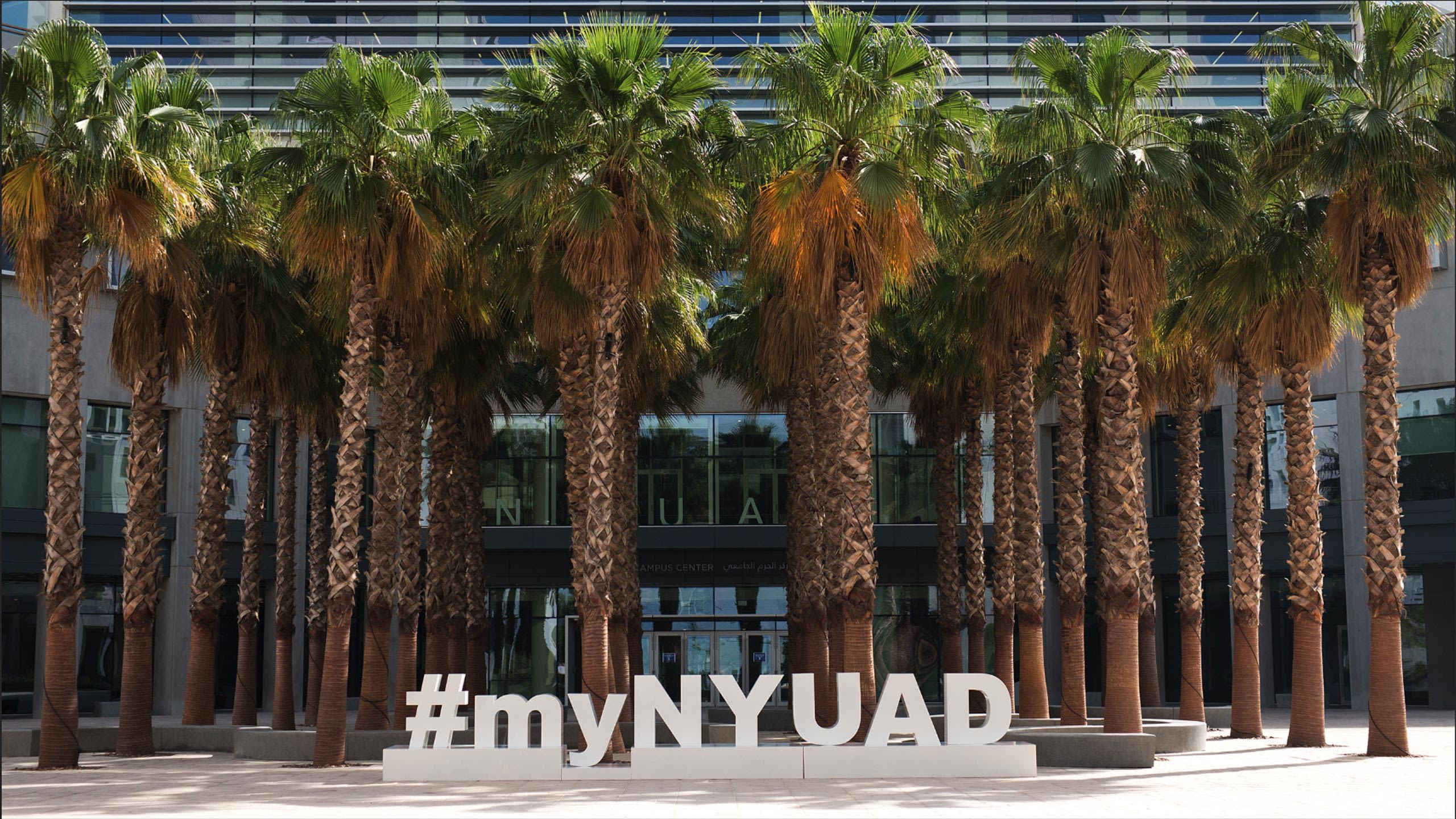 Life Beyond Saadiyat Class of 2020 - NYU Abu Dhabi