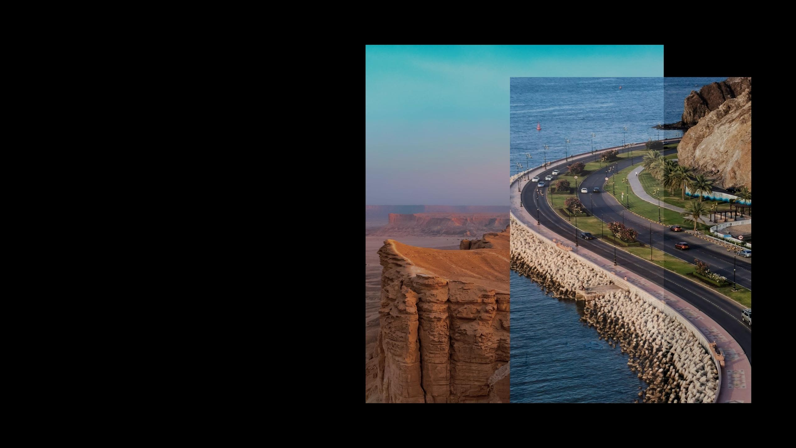 Uncovering the Secrets of the Gulf Ecosystem - NYU Abu Dhabi