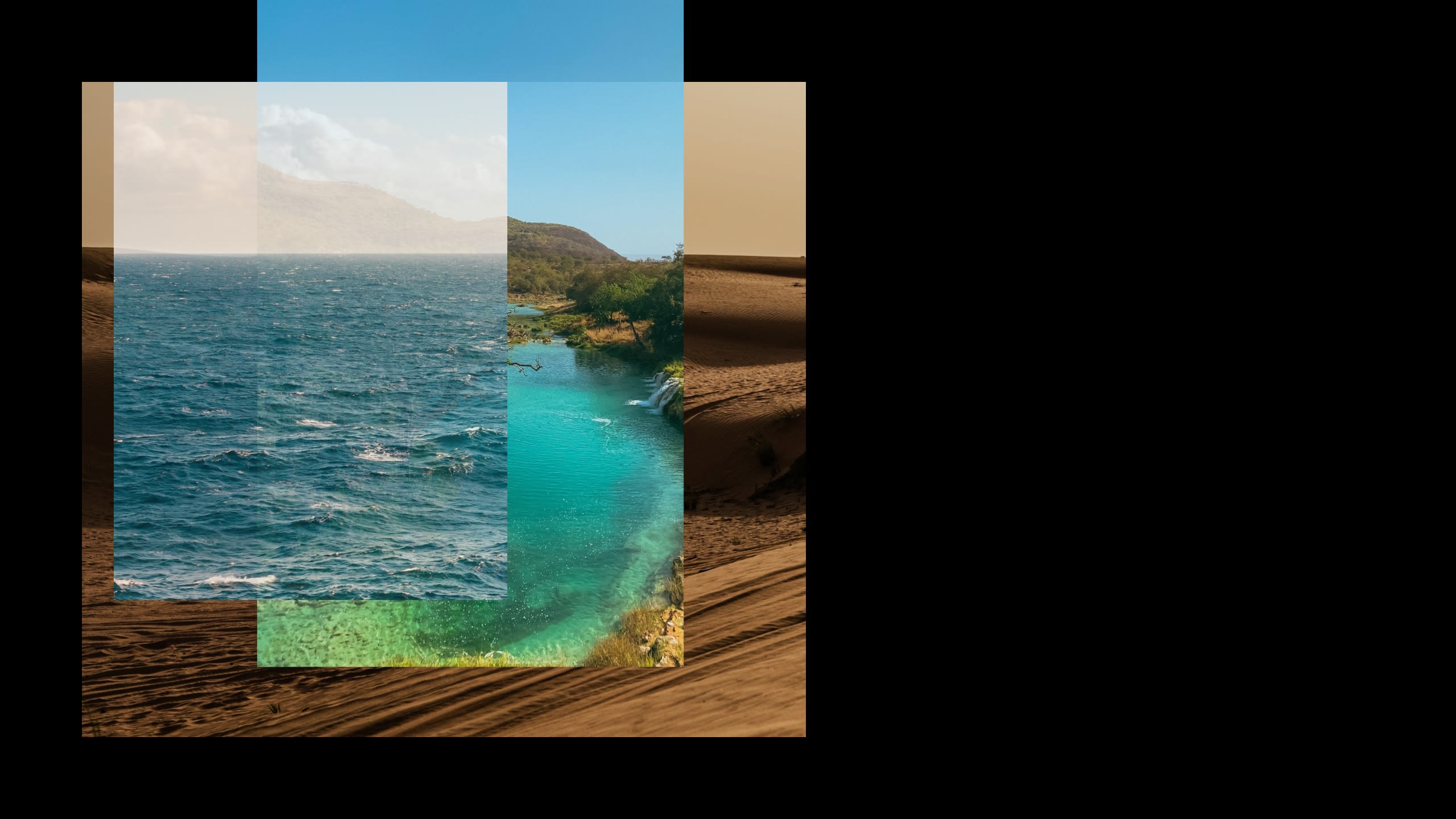 Uncovering the Secrets of the Gulf Ecosystem - NYU Abu Dhabi