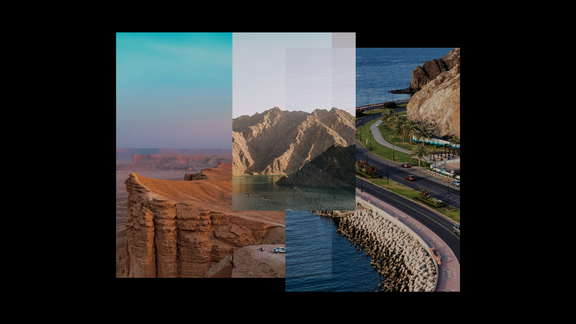 Uncovering the Secrets of the Gulf Ecosystem - NYU Abu Dhabi