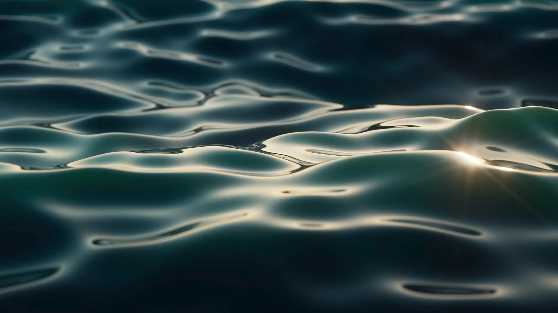 Uncovering the Secrets of the Gulf Ecosystem - NYU Abu Dhabi